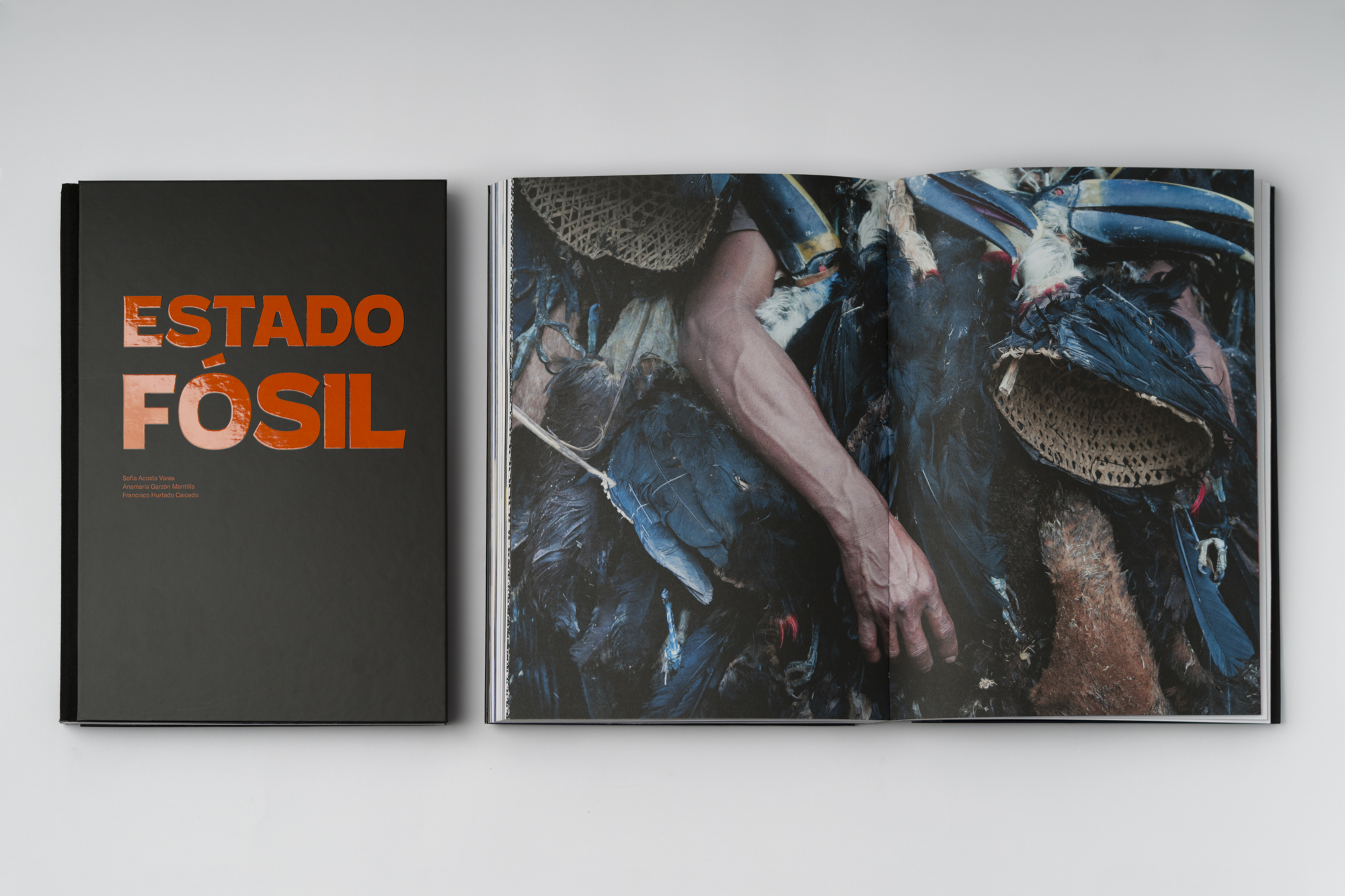 Estado Fósil | Canal Projects